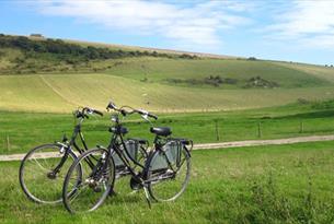 Plan Your Visit To Brighton - VisitBrighton.com